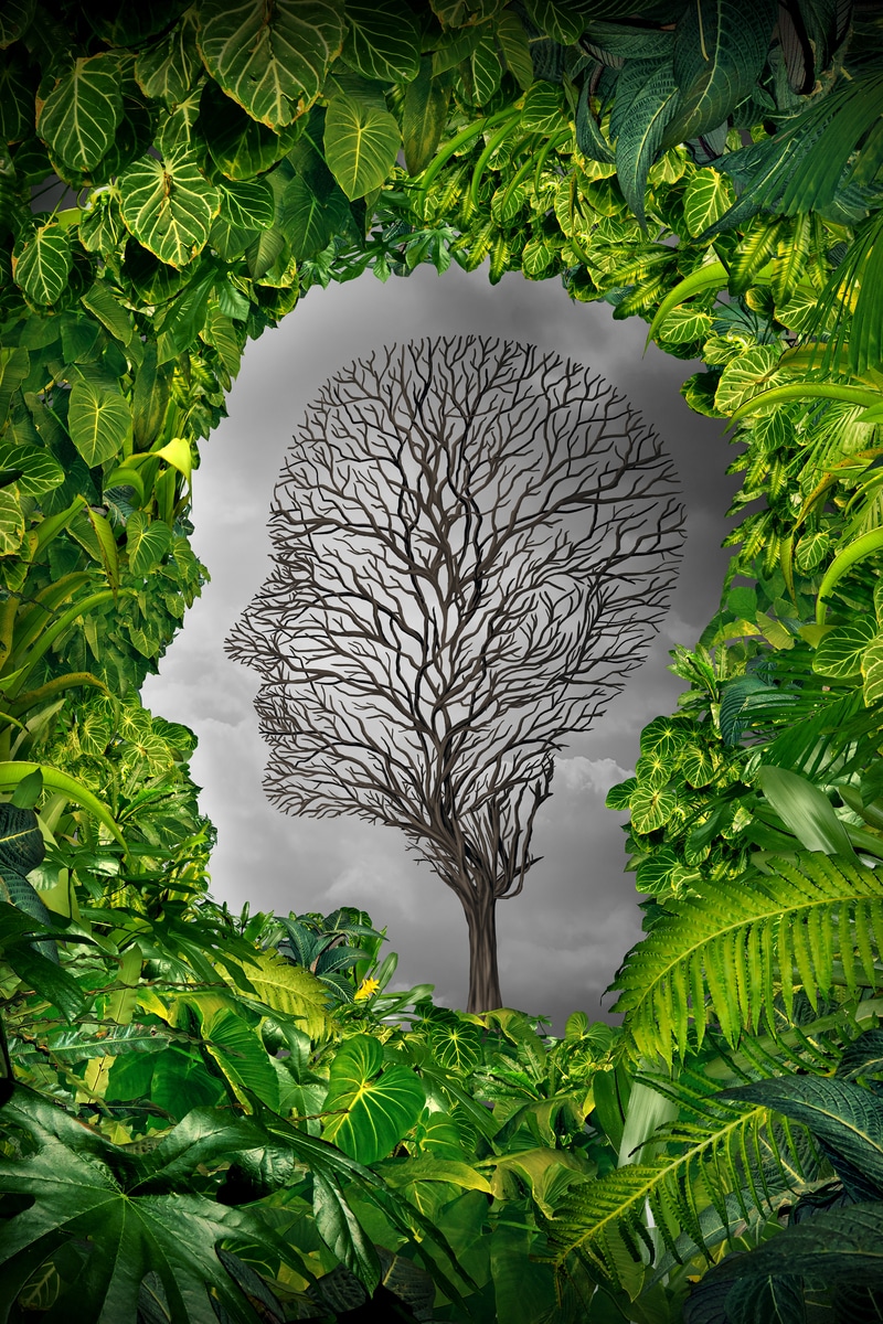 El Test del árbol: una forma de conocer la personalidad